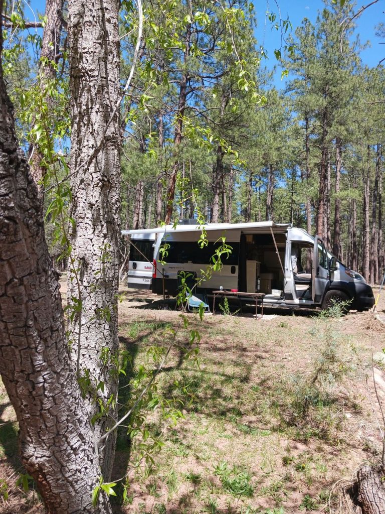 2021 Thor Motor Coach Sequence 20A - National Vehicle