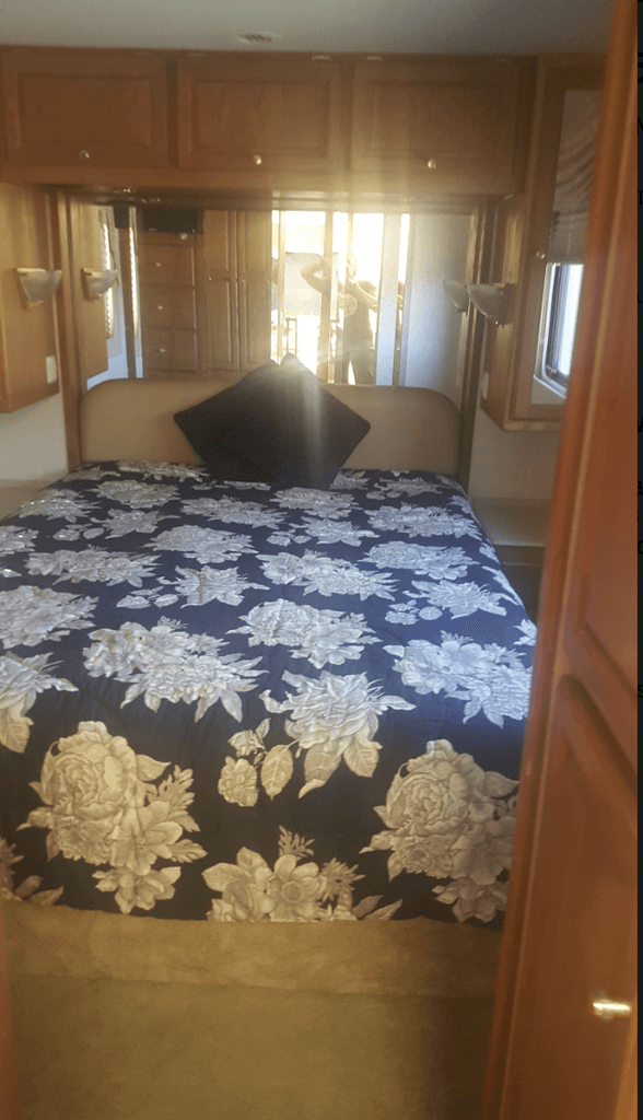 1999 Alpine Coach Motorhomes 36FD - National Vehicle