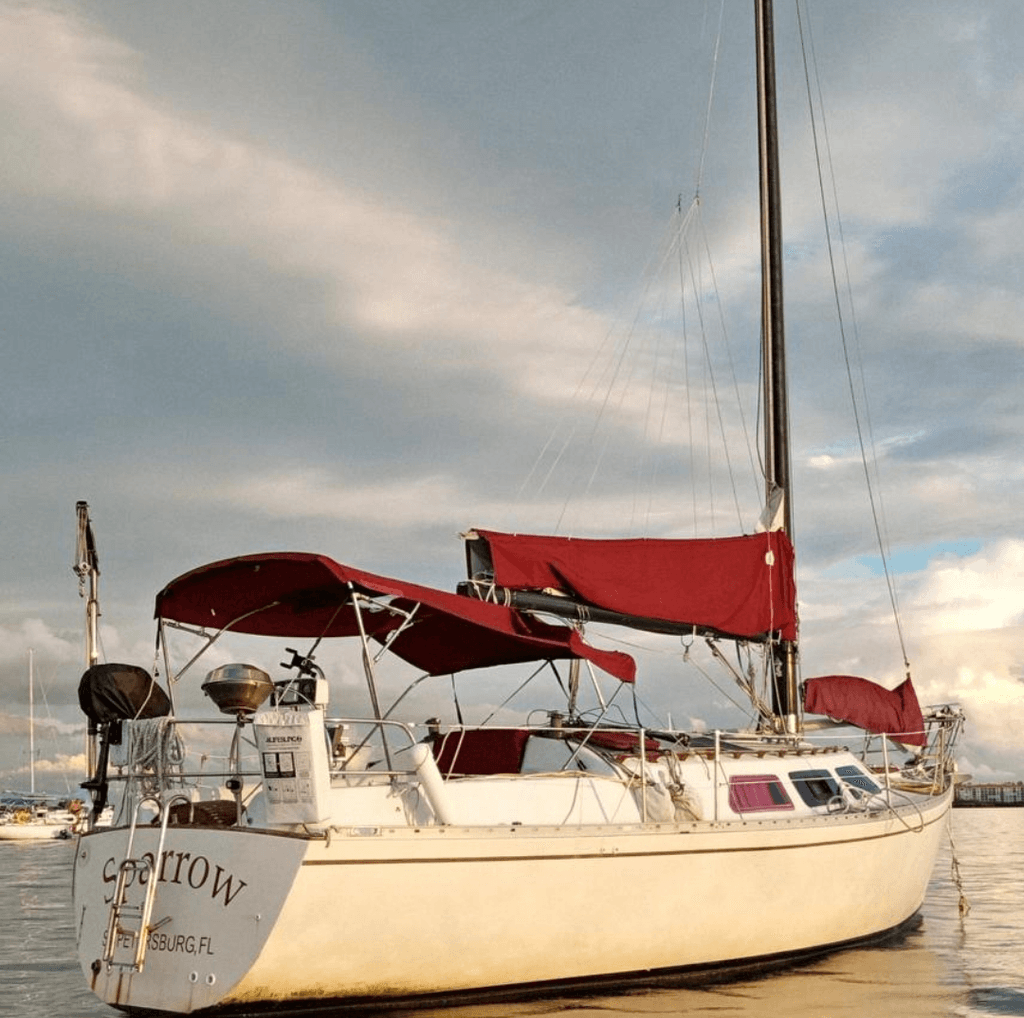 1984 Freedom 32 - National Vehicle